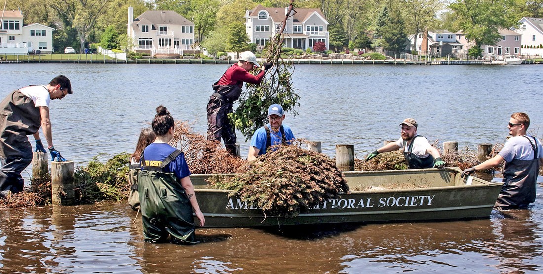 Volunteer, Explore & Celebrate Earth Week! - Jersey Shore Scene